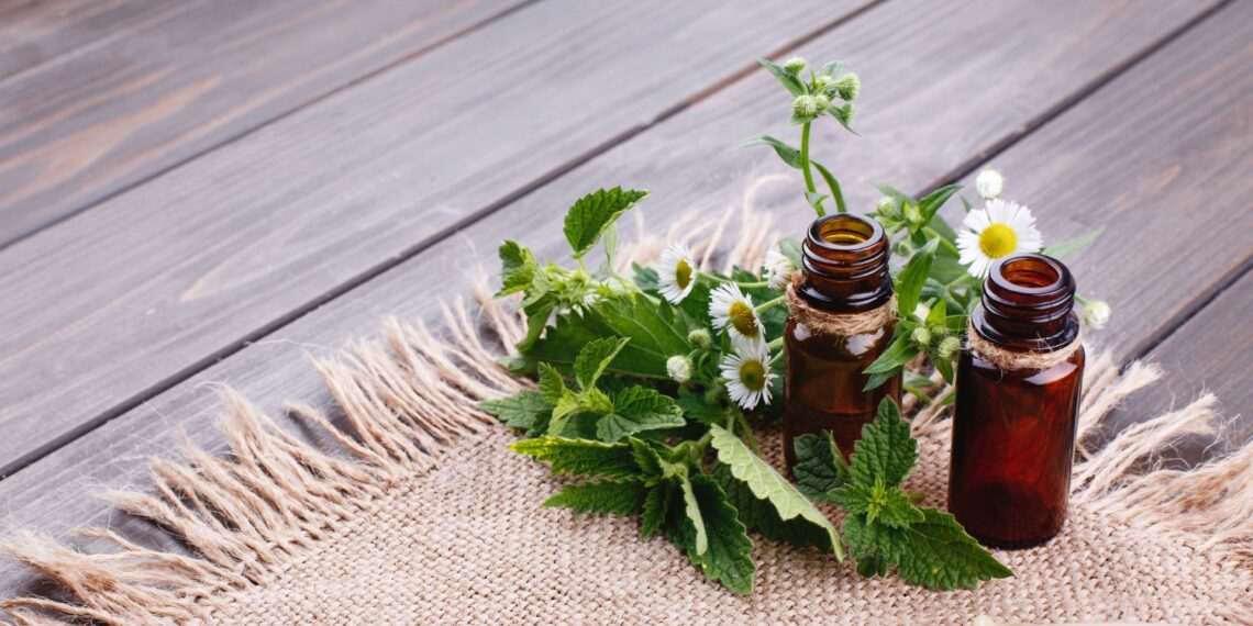 African beauty oils: Marula & Baobab – Skincare secrets from the ...
